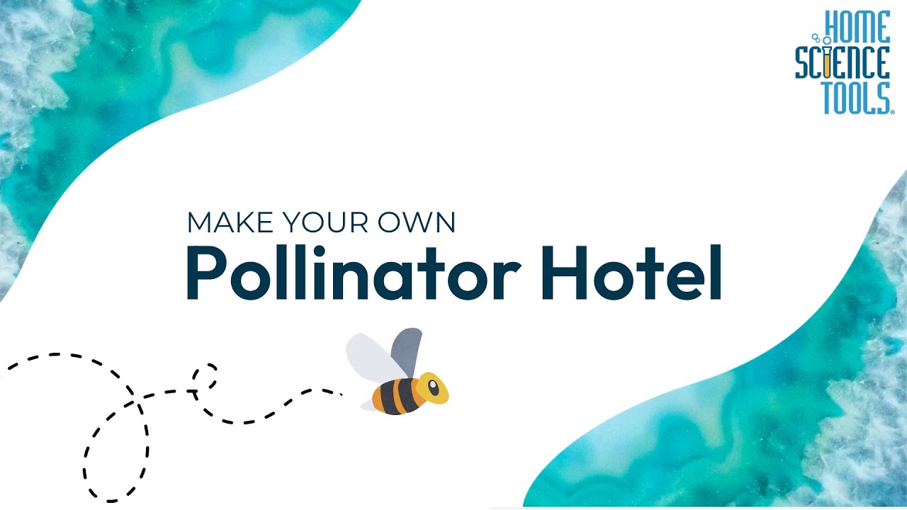 How to Make a Pollinator Hotel - YouTube