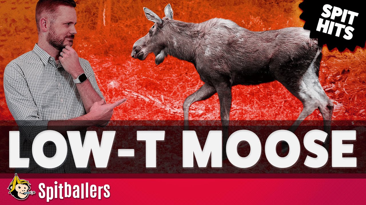 Spit Hits: Low-T Moose & The Worst Minor Inconveniences - Spitballers ...