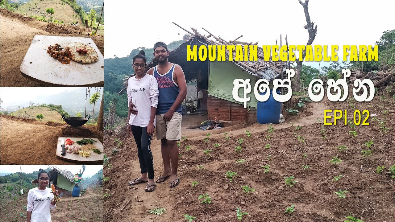 අපේ හේන Epi 02 - Mountain Vegetable Farm Epi 02 - YouTube