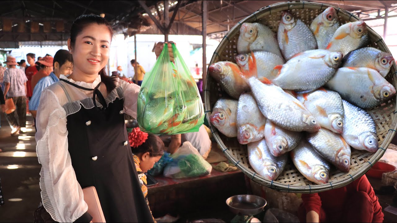 Red Tail Fishes Recipes / Yummy fish soup and grilled fish recipes ...