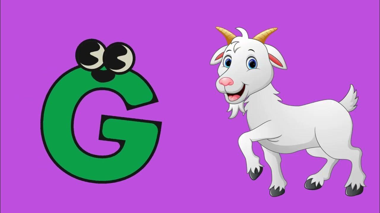 Learn Alphabet G / Phonics Letter G Song For Kids - YouTube