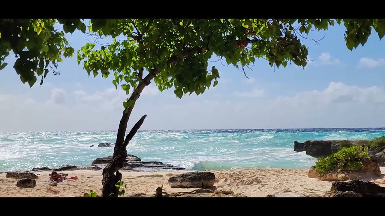 Beautiful Blue Waves Ocean Beach at Smith Cove Cayman Islands #islands ...
