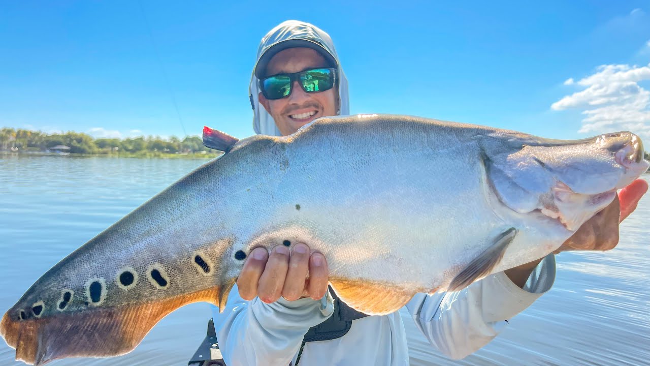 Catching BEAST Fish on my Micro Skiff (Gheenoe LT25) - YouTube