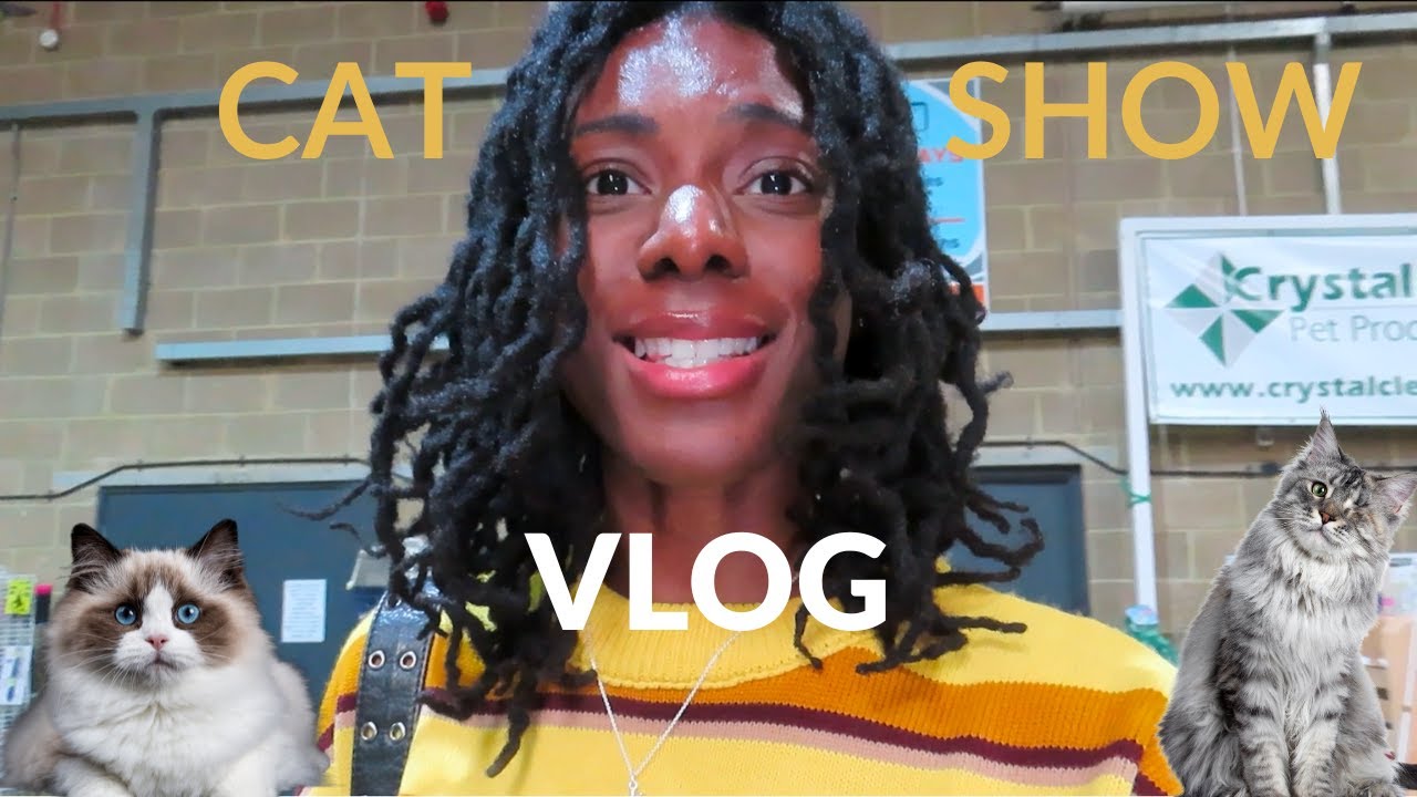 Cat show VLOG | Meet the Fancy Cats of England 🐱 - YouTube