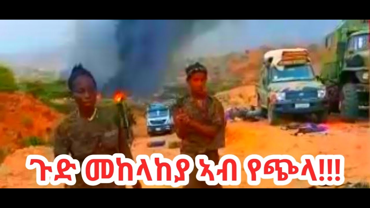 what happened in Ychila during the war between TDF and ENDF @ Alula ...