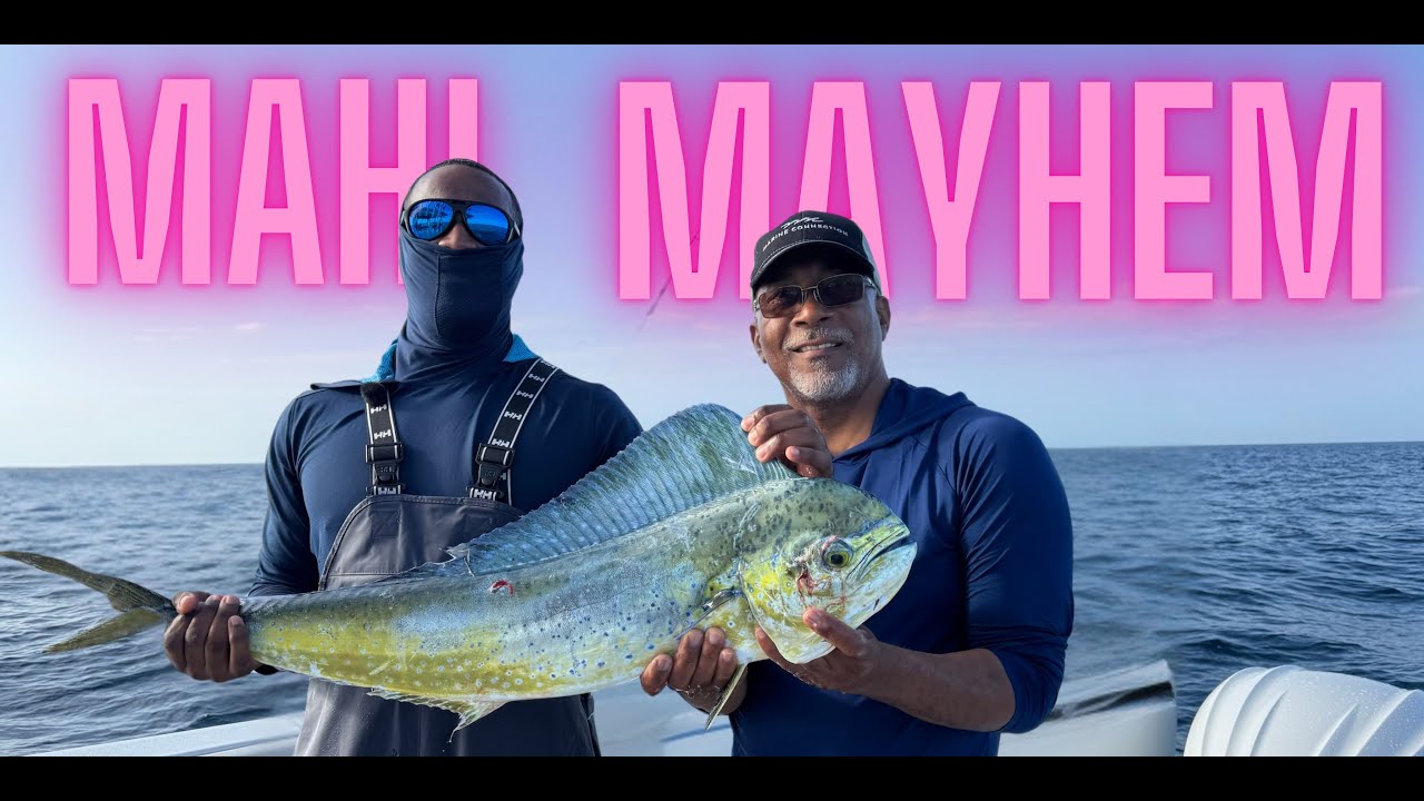 INSANE Mahi Mahi Action! Nonstop Hookups Offshore! - YouTube