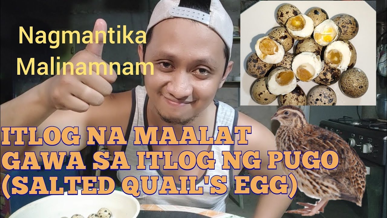 Itlog na Maalat Gawa sa Itlog ng Pugo (SALTED QUAIL'S EGG) - YouTube