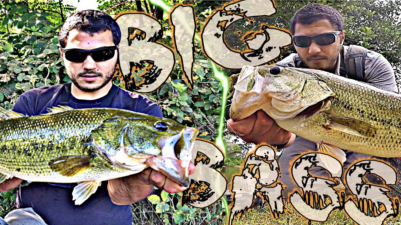 Due Pesci Fantastici! BIG BASS - Pesca al Bass con il JIG - YouTube