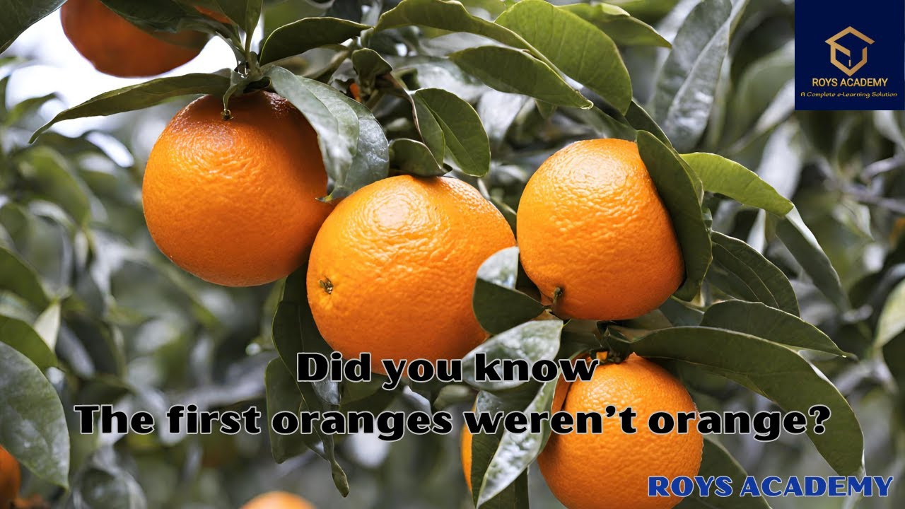 Did you know the first oranges weren’t orange? - YouTube