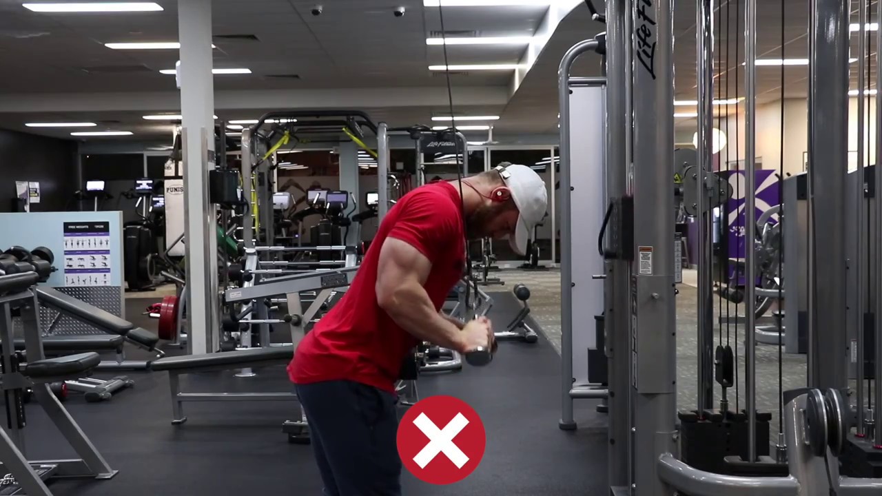 Tricep Pushdowns | Execution Series | PhysiqueDevelopment.com - YouTube