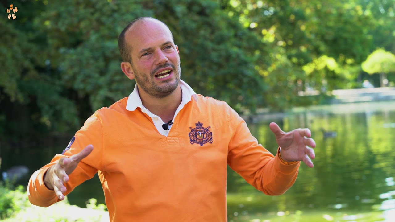 Timo Schlage: Akademieleitung von InKonstellation & INKO Coaching - YouTube