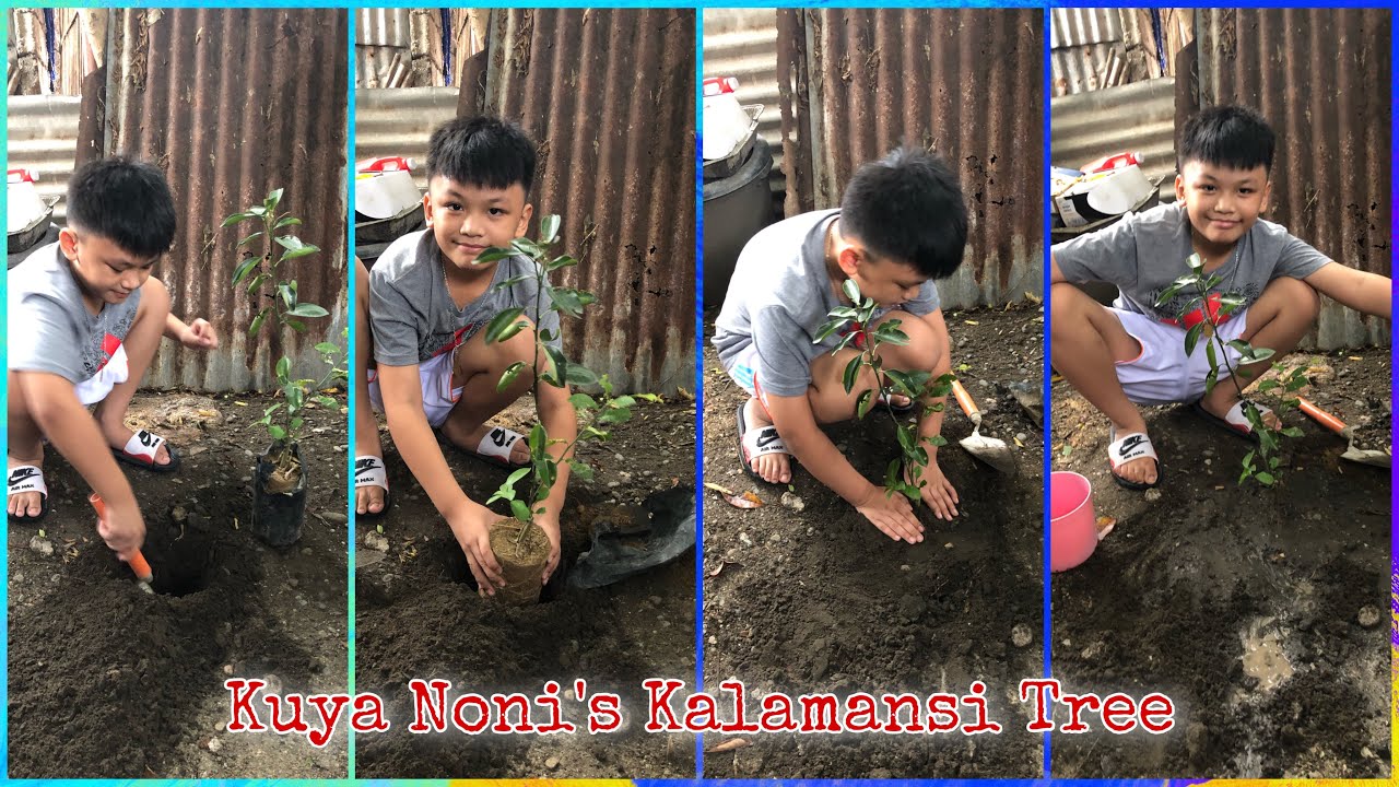 TREE PLANTING IN THE BACKYARD | SCHOOL ACTIVITY || The Mencias-Our ...