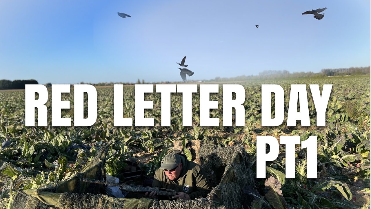 RED LETTER DAY PART 1 - YouTube