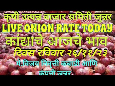 26/11/23 JUNNAR LIVE ONION MARKET #onionratetoday #kandabajarbhavtoday ...