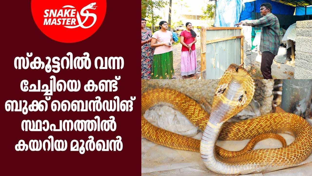 സ്കൂട്ടറിൽ വന്ന ചേച്ചിയെ കണ്ട് ബുക്ക് ബൈൻഡിങ് സ്ഥാപനത്തിൽ കയറിയ മൂർഖ ...