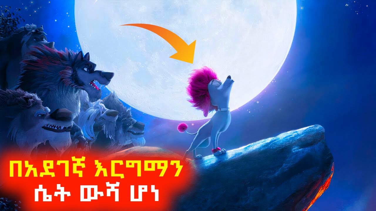 በአደገኛ እርግማን ወደ ሴት ውሻ ቀየሩት⚠️ Mert film | Sera film - YouTube
