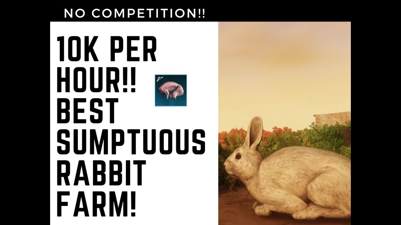 Make 10k per hour no competition!! Sumptuous Rabbit - YouTube