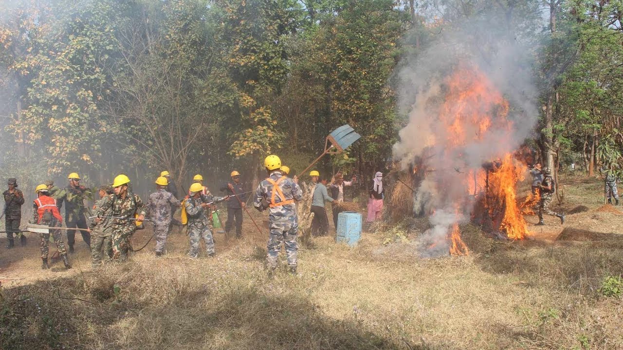 jungle ma aago lagi vayo 🔥🚒🧯🧑‍🚒🪖😔 - YouTube