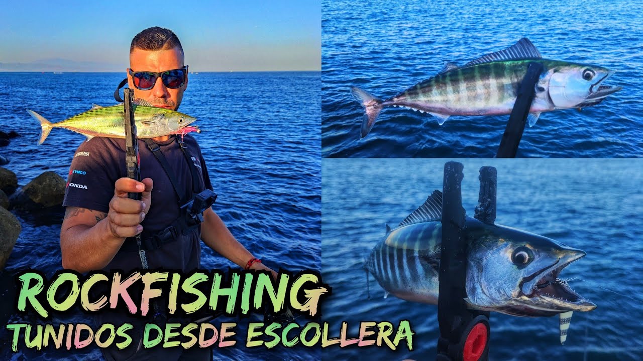 Rockfishing🔹🔷 Pequeños tunidos desde escollera 🔷🔹Light fishing for ...