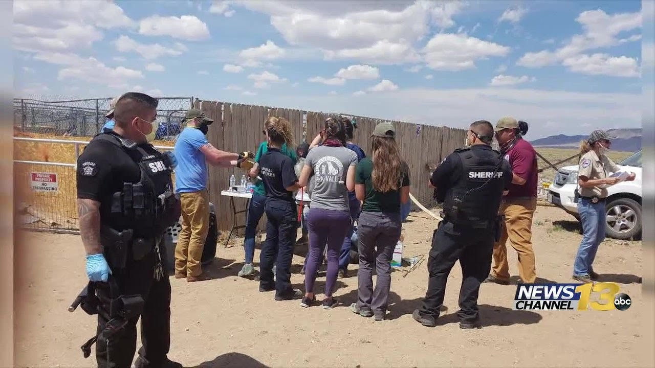 Suspect in Costilla County animal cruelty case had 32 felony charges in ...