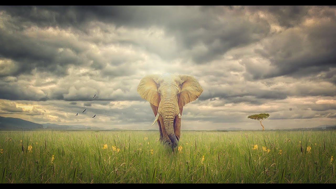 How to Photoshop Manipulation Tutorial | Extreme Photo Effect - YouTube