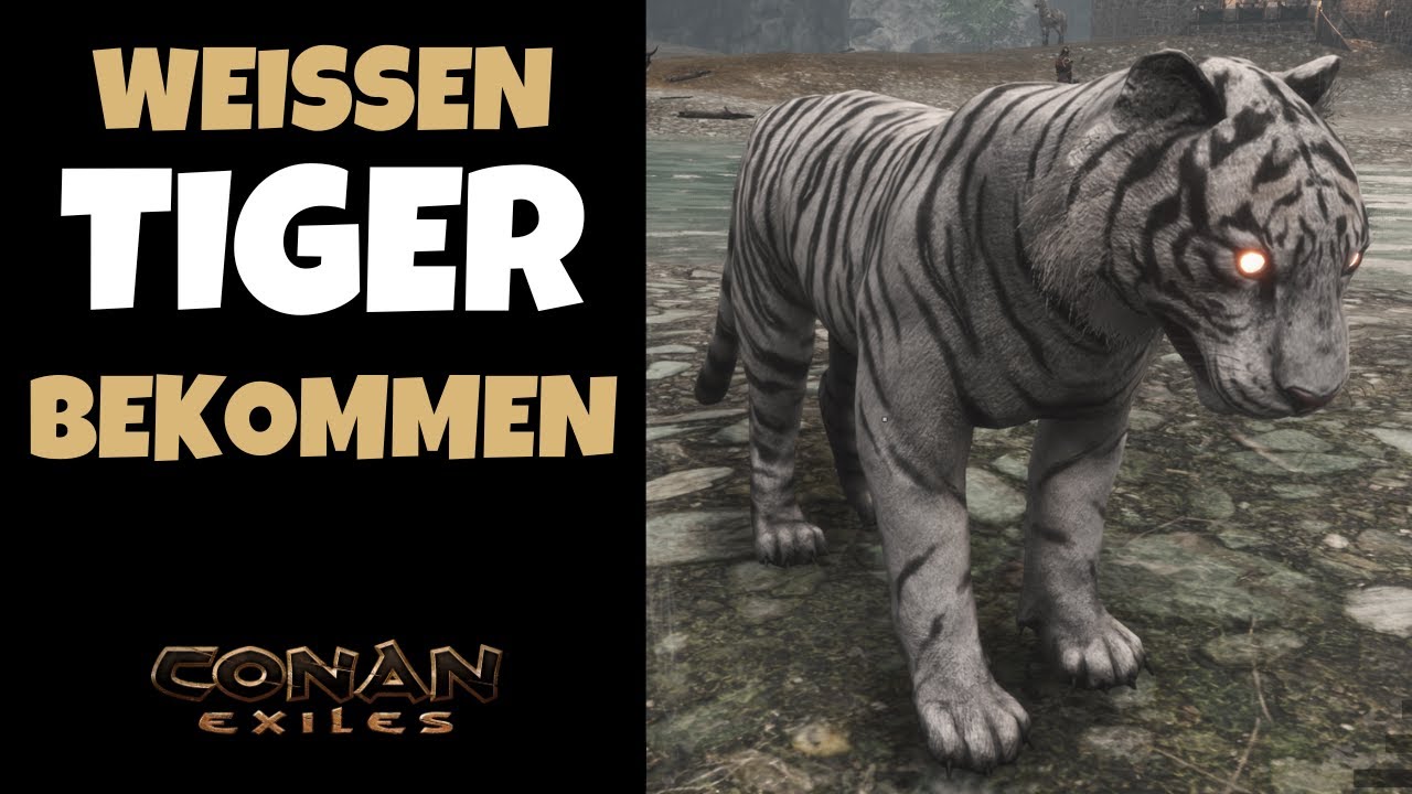 Conan Exiles 2025 - Weisser Tiger | Tierbegleiter-Guide - YouTube