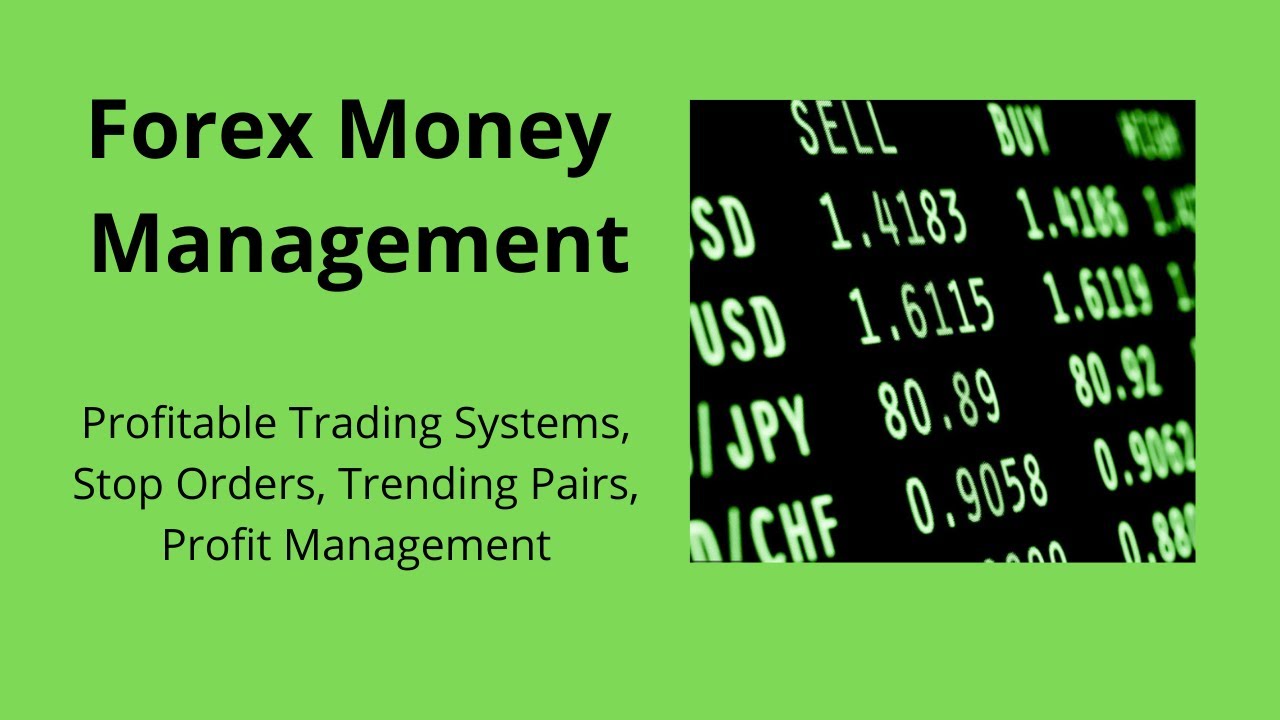 Forex Money Management Strategies - YouTube