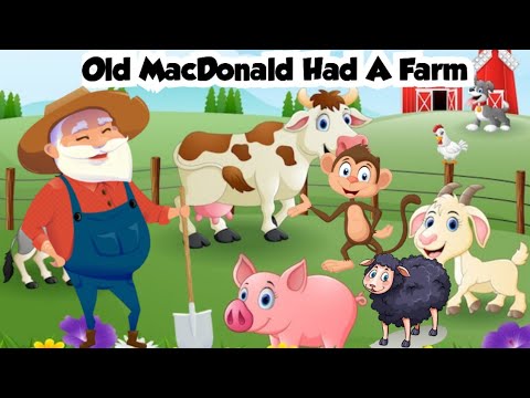 Old MacDonald had a Farm|Nursery Rhymes|Kids Rhymes|Kids Songs|English ...