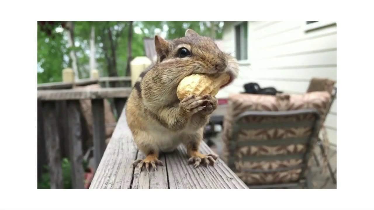 Apple iPhone TV Commercial, 'Shot on iPhone by Linda H ' Song by Glass ...