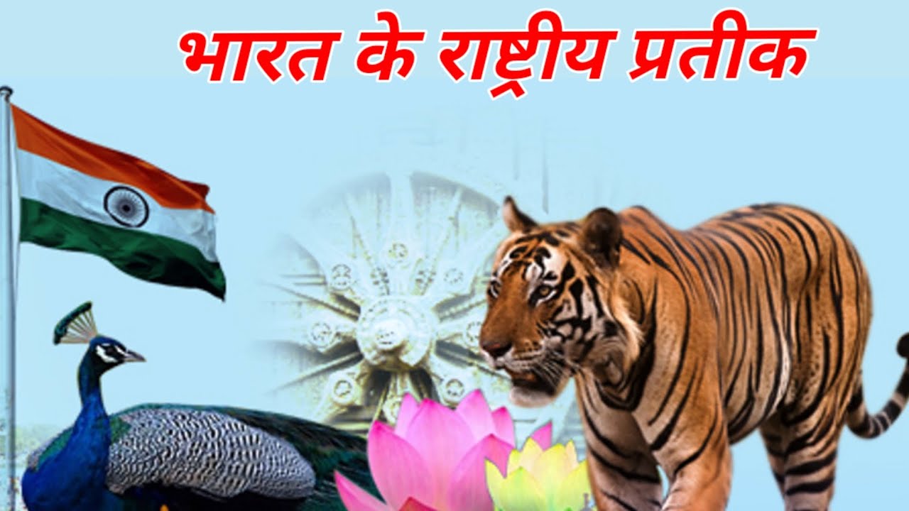 भारत के राष्ट्रीय प्रतीक | National symbol | lkg ukg class | National ...