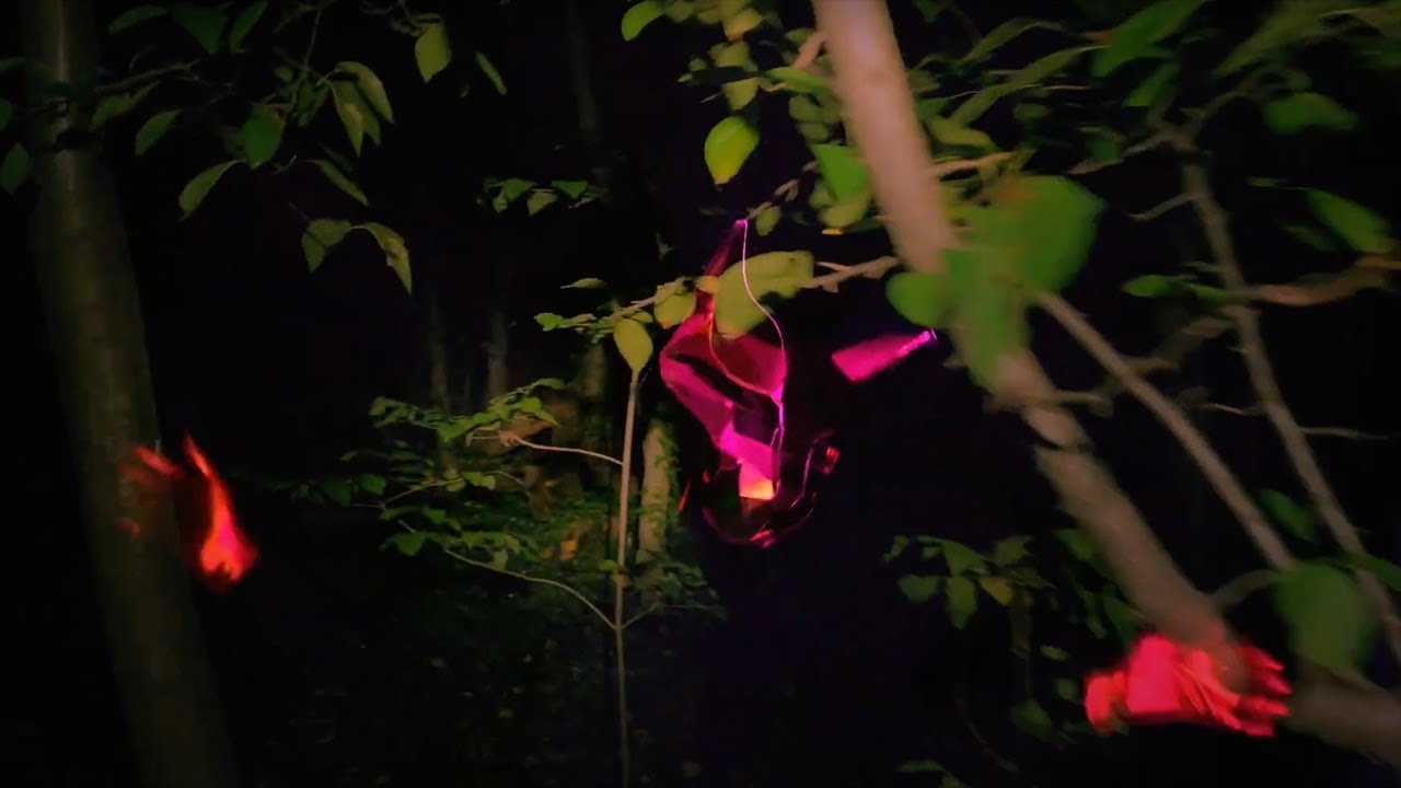 Strange Flesh - Croydon Fox - YouTube