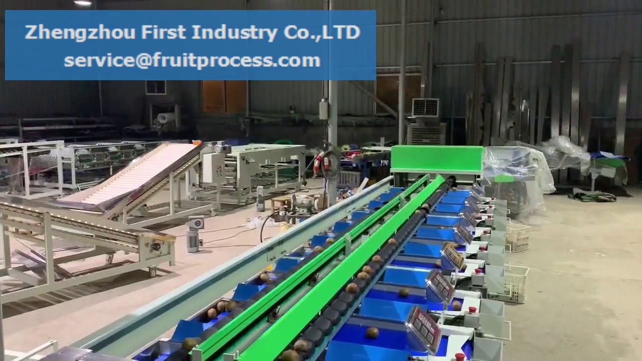 Kiwi grading sorting machine, electronic weight sorting line for kiwi - YouTube