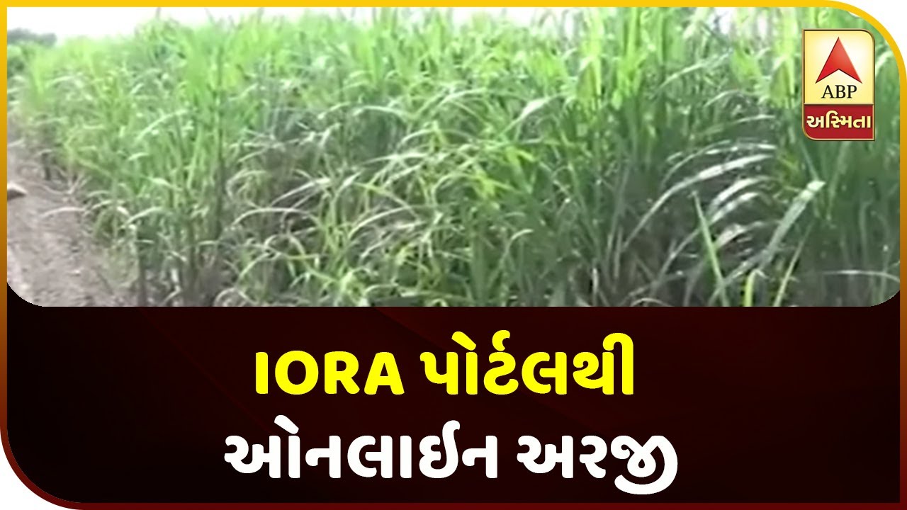 Online Application For Land Survey Available At IORA Portal | ABP ...