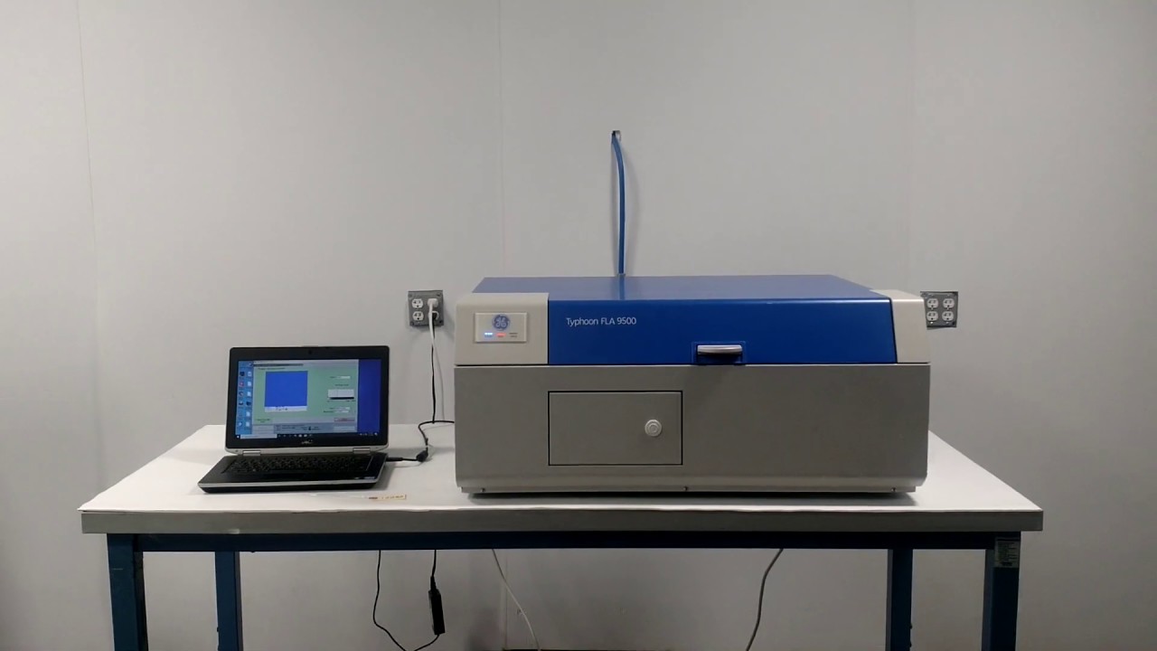 GE Typhoon FLA 9500 Variable Mode Laser Scanner Image Analyzer Unit2 ...