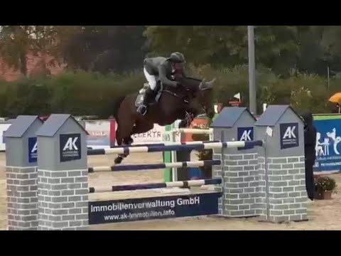 GRADUATE ~ 11j. St. v. / 11yo mare by Cantos - Sandro Boy