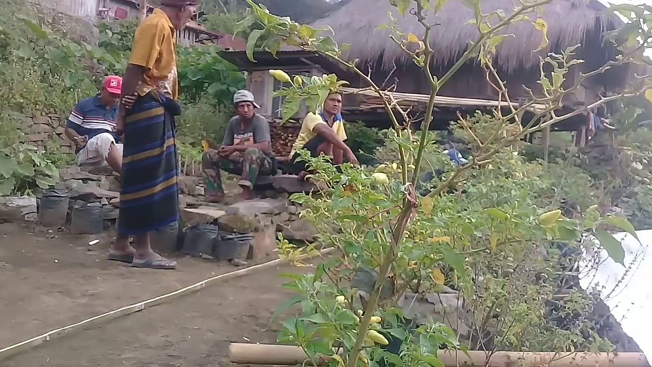 Renofasi atap rumah adat saga ( sa.o ria Laka Raja ) - YouTube