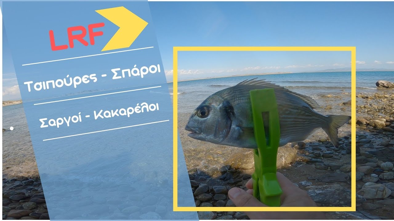 🎥🔱Ψάρεμα LRF εκεί που περνάς ωραία, και πιάνεις διάφορα ψάρια. - YouTube