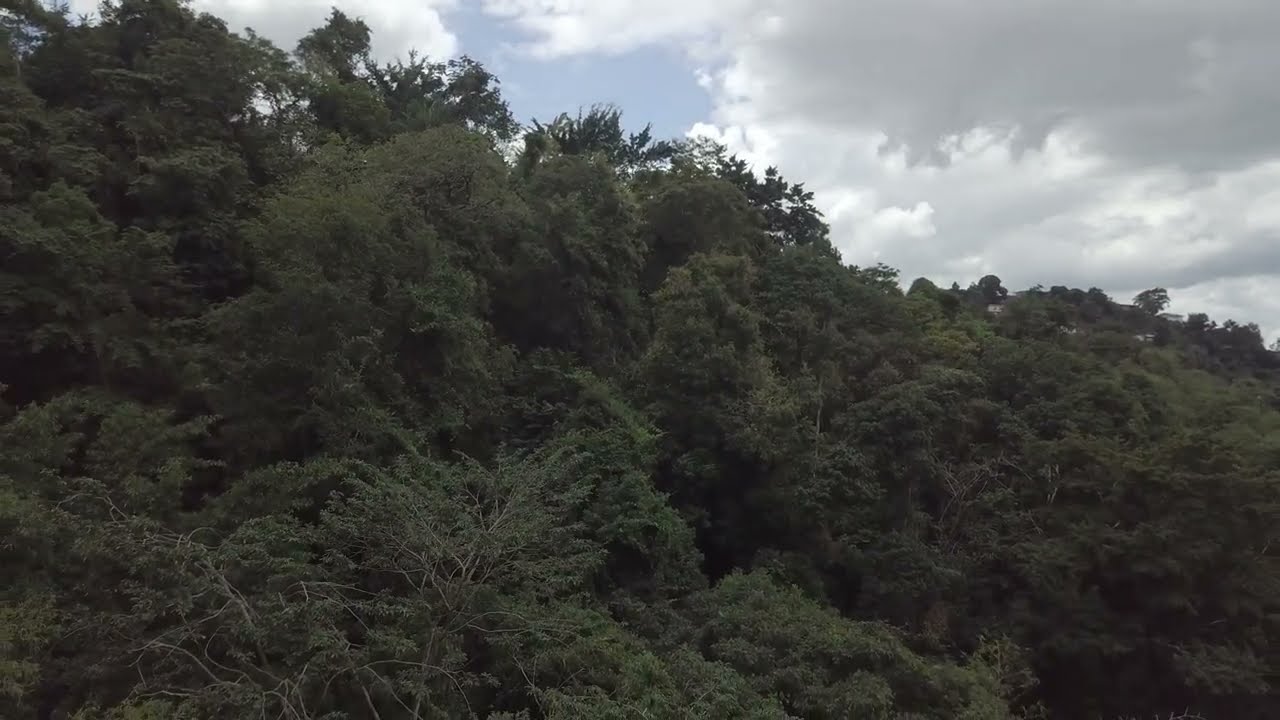 Fondes Amandes Hills & Cascade - St Ann's, Trinidad (Part 2) - YouTube