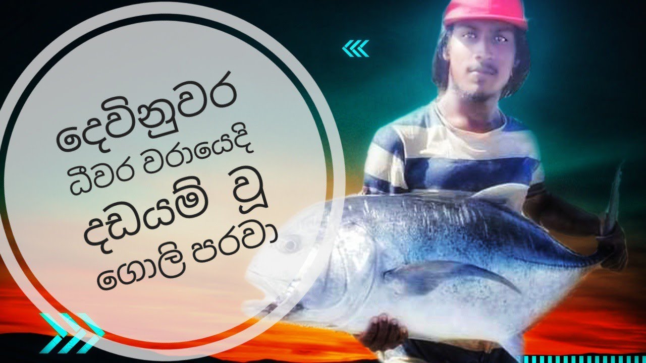 Goli Paraweku Dadayam Kirima - Hunting A Goli Parawa Fish At Asian Sea ...