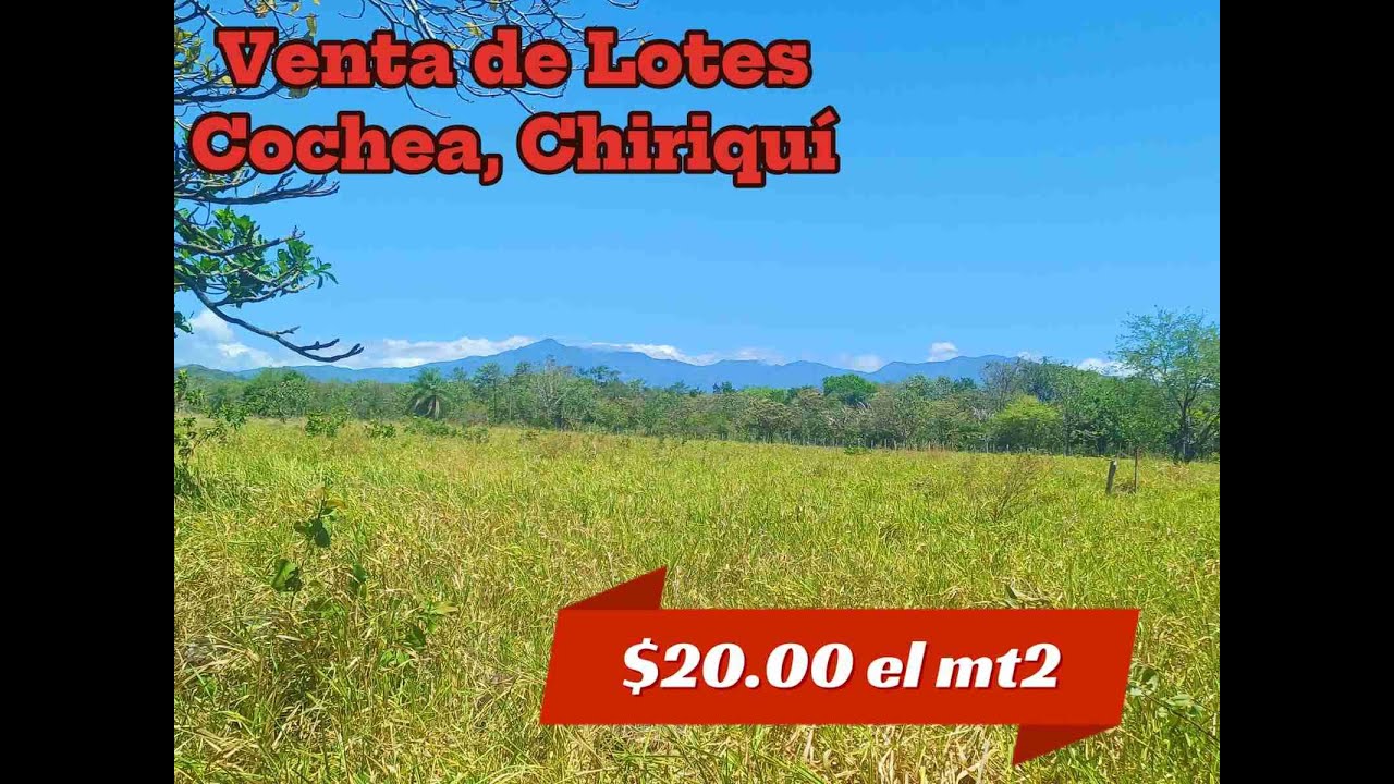 VENTA DE LOTES - COCHEA, DAVID CHIRIQUI - YouTube