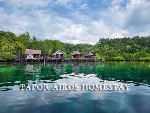 Tapor Aikos Homestay