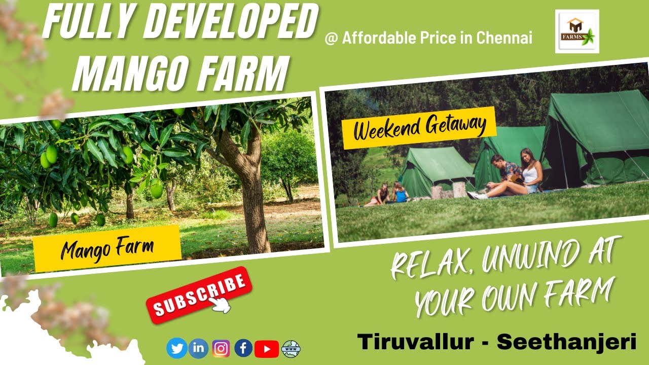 Experience a Mini Village Trip in the Weekends at Your Own Farm - YouTube