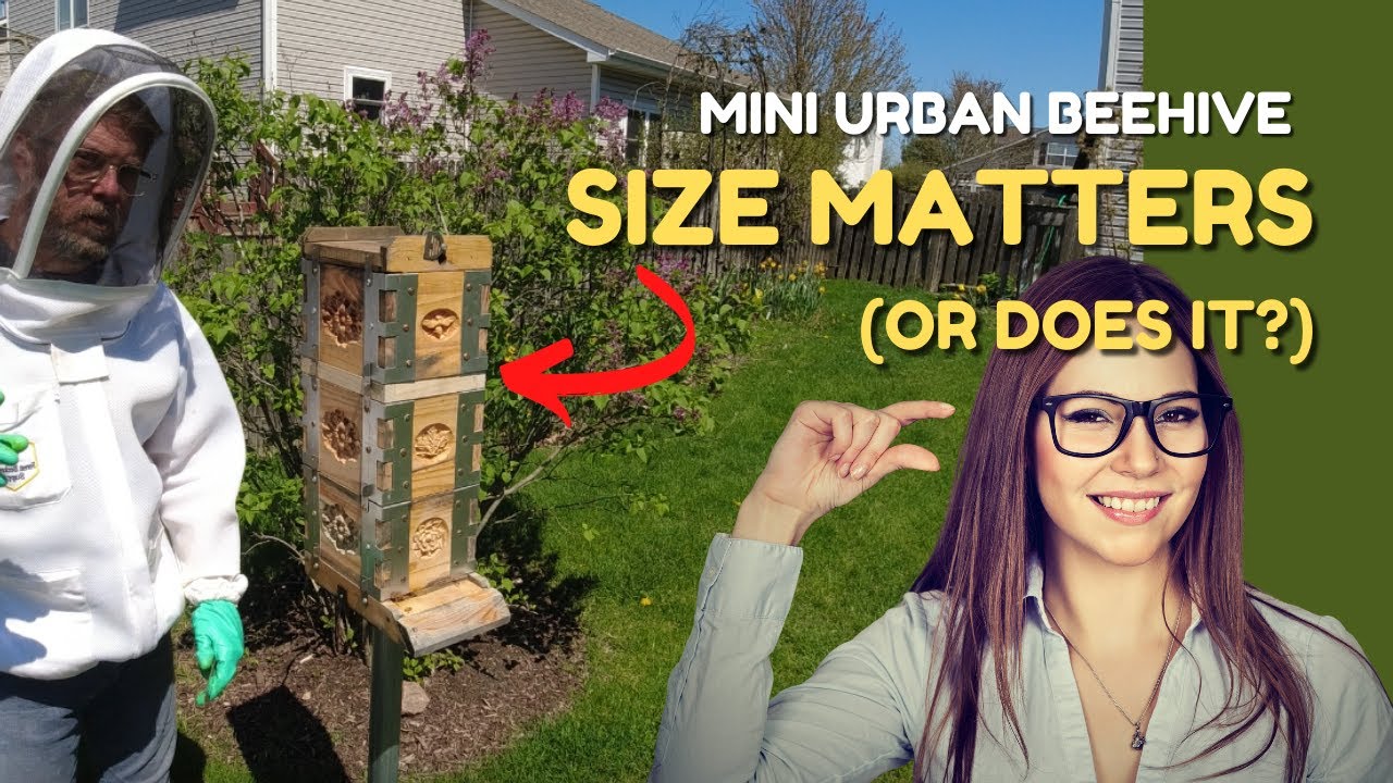 S2E5 | Everyone says it's too small. But is it? - YouTube
