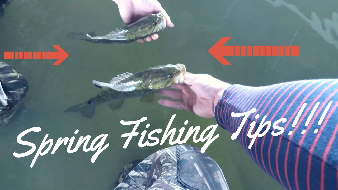 Ohio Spring Smallmouth Fishing + NEW Tackle Review! - YouTube