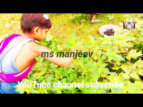 Ms manjeev neesu ki mung kevideo