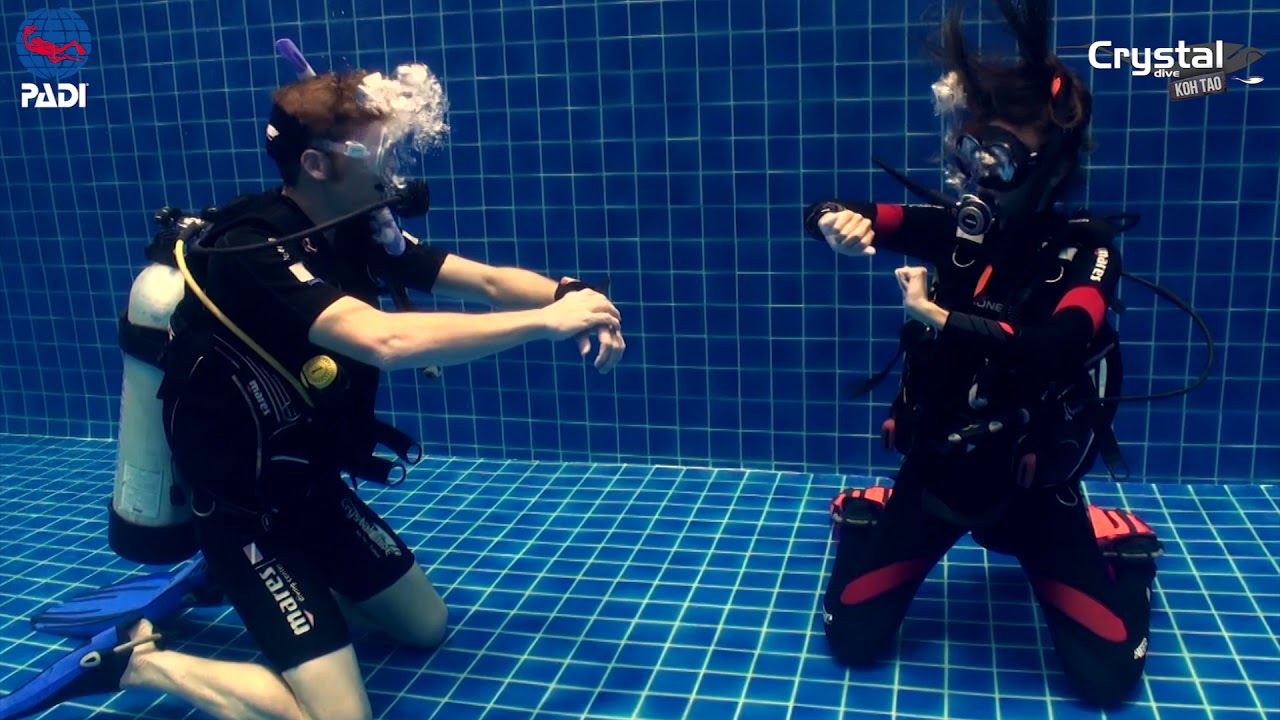 How to Do the Five Point Ascent 🥽 PADI IDC Skills Dive Instructor - YouTube