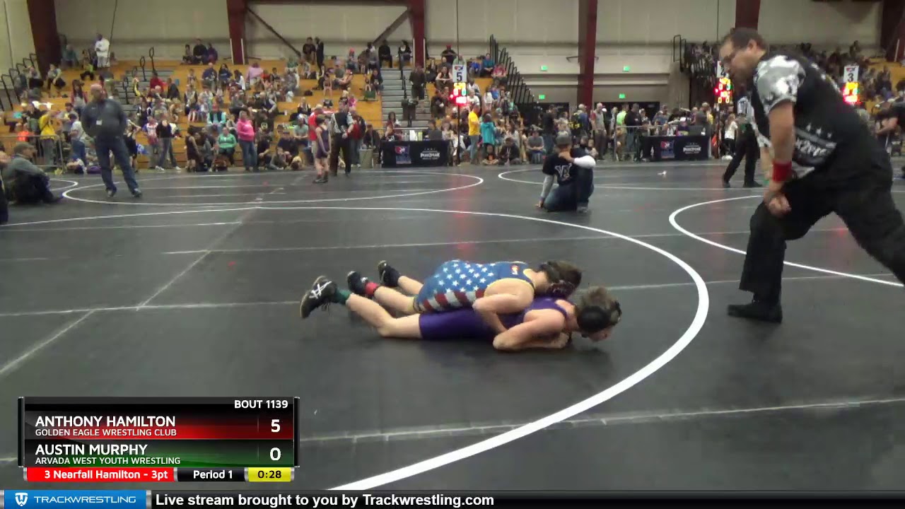 True Beginner Middle School 79-87 Anthony Hamilton Golden Eagle ...