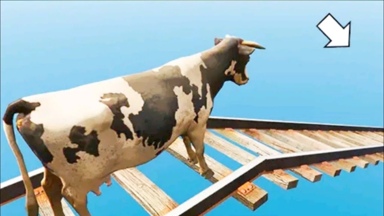 Crazy Cow Parkour IMPOSSIBLE PARKOUR GTA Vaca Parkour #cow #animals # ...