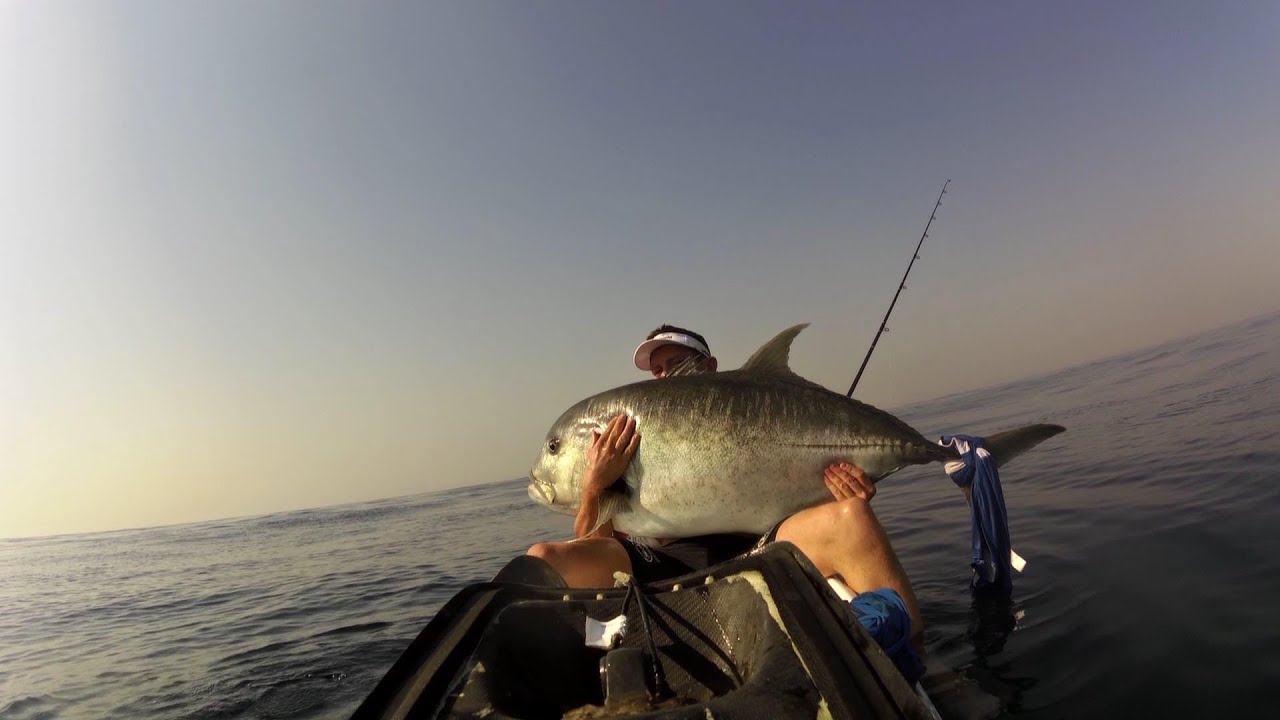 Giant Trevally aka The Giant Kingfish successfully caught and released ...
