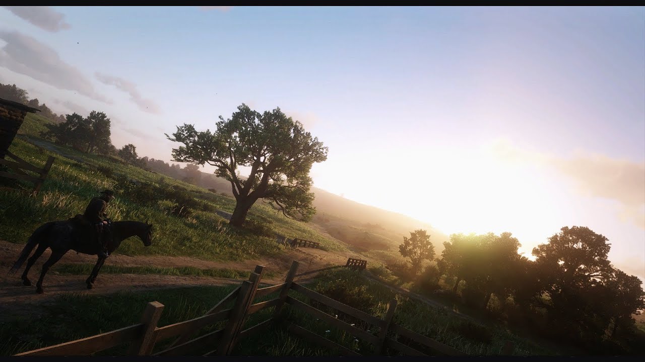 Red Dead Redemption 2 Filtre Nvidia et options graphiques [2K PC] - YouTube